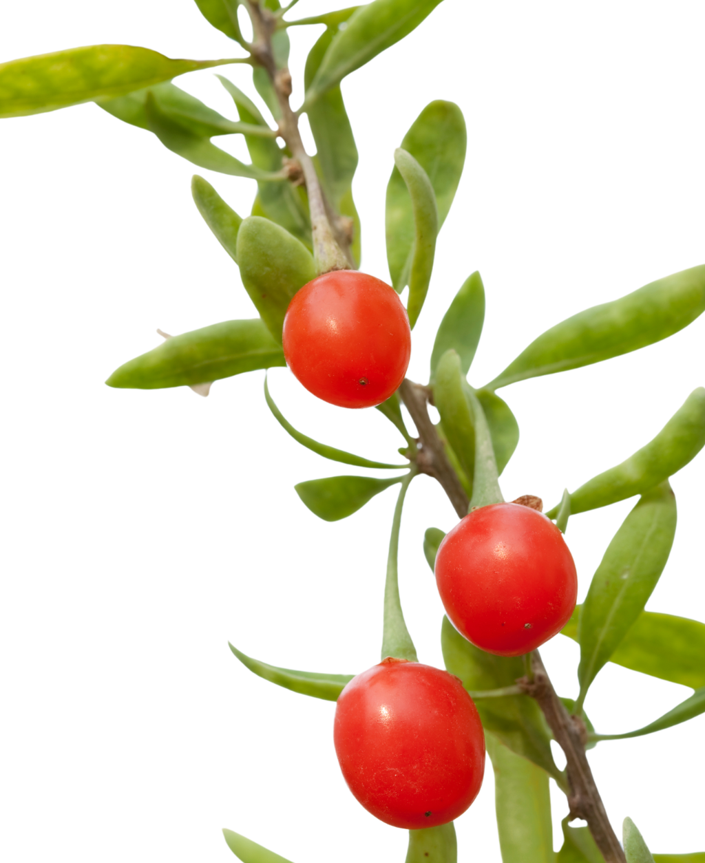 Buy Good Chi Cleansing Balm - Gentle Makeup Remover | Muihood