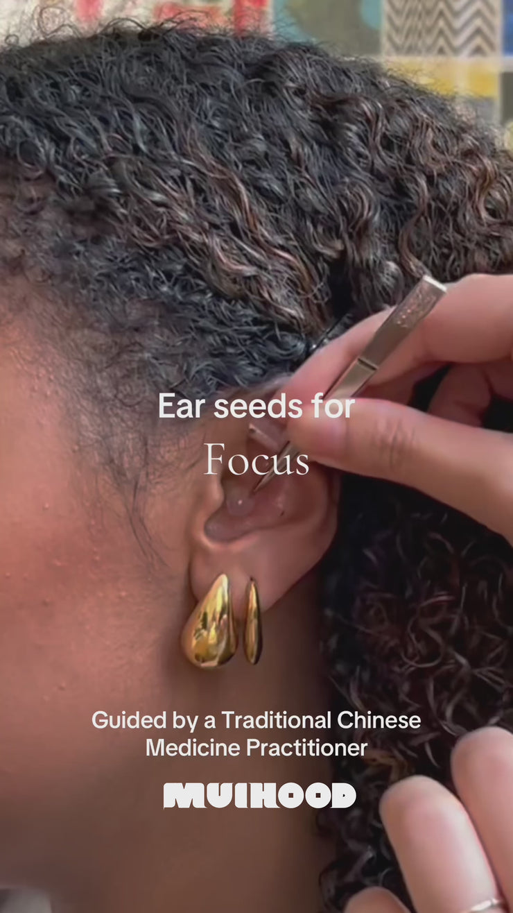 24K Gold Plated Ear Seed Kit – Muihood